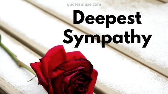 50 What To Write In A Sympathy Card For Someone You Don t Know Well Quotes Muse